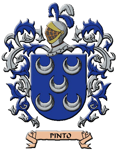 A queda da TORRE DE CHÃ - Solar medieval da família PINTO: ORIGEM DO ...